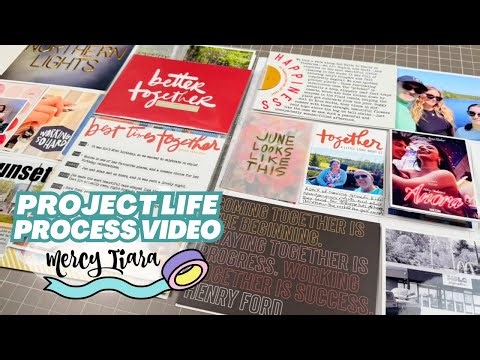 Project Life Process Early June Hybrid Scrapping