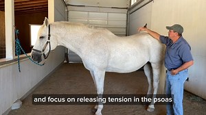 141K views · 1.1K reactions | Why Wednesday: Over the last few...