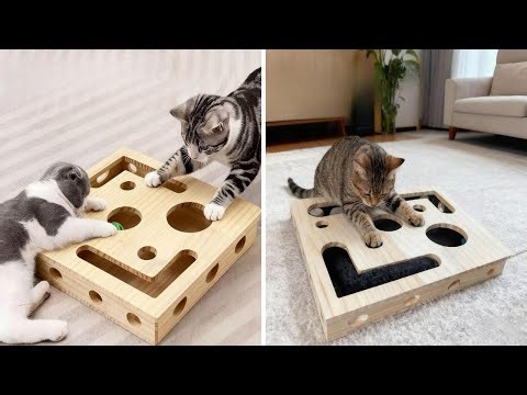 Cat Nail File Enrichment Box Review 2025 - Cat Nail File Box