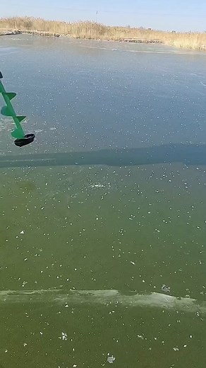 Ideal life on TikTok