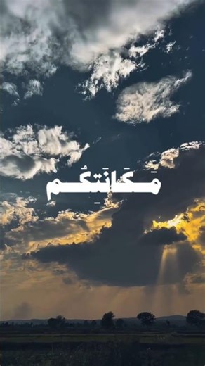 وَيا قَوميِ اعملوا على مكَانَتِكم | القارئ محمد ايوب🌿🎧