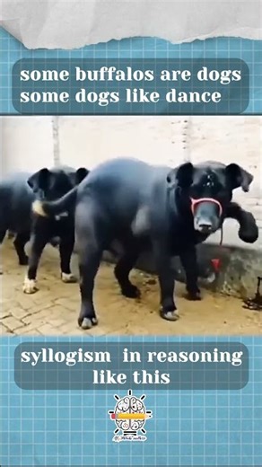 Syllogism: Jahan Logic Kam, Confusion Zyada 😵‍💫– MBA Life”