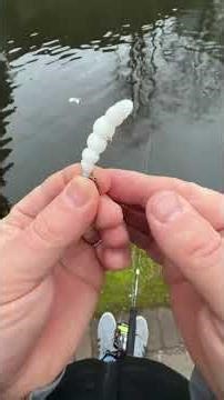 Fish Didn’t See This Coming 😱🐟 #shorts #youtubeshorts #fishhunting #fishcatch