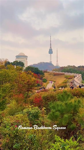 Vibrant Autumn Leaves Tour in Seoul