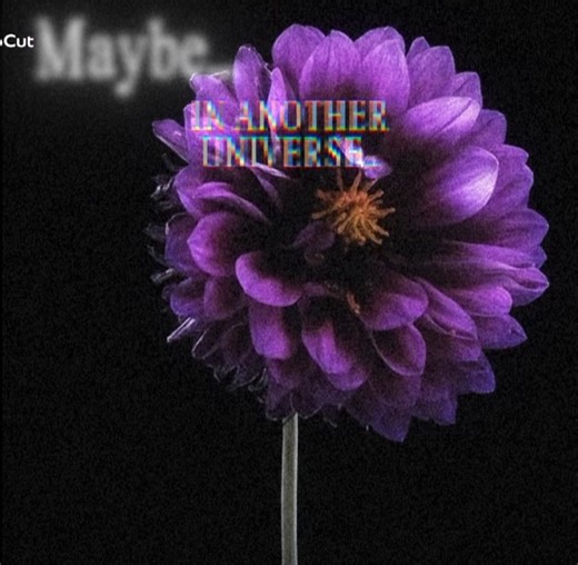 #MULTIFANDOM || crying rq guys 🥹 || #countryhumans #epic #southpark #z3p4_thegr34t