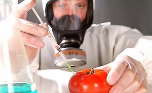 Food additive - Alchetron, The Free Social Encyclopedia