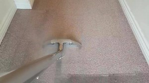 36 reactions · 33 comments | WHEN DID YOU LAST HAVE YOUR CARPETS...