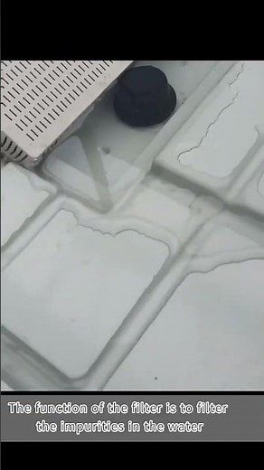 Greenhouse Rolling Bench Equipped with Hydroponic Flood Table #horticulture