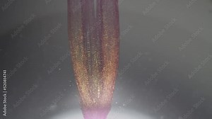 Longitudinal section cut of root tip of plant under the microscope magnified in 40 times with oblique lighting. Footage of pink cells for laboratory education. Microbiology and science concept