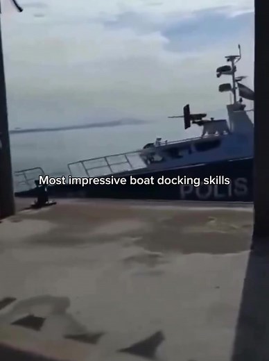 Exploring the Beauty of Ocean Life with Octonauts Loggerhead Sea Turtle