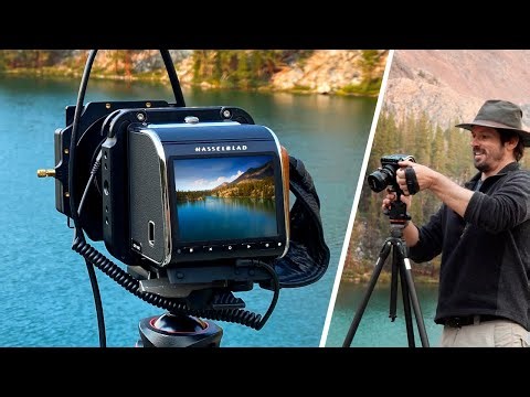 First Field Test : Hasselblad CFV 100c Digital Back in Action