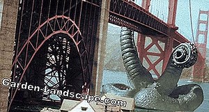 Plantas: Lucha contra los insectos de escala en las rosas del desierto - Cómo deshacerse de las plagas de nuevo | 2025