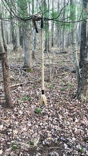 Year round active scrape rope!