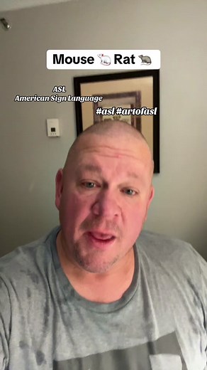 Mouse 🐁 Rat 🐀 Learn how to sign… Let’s go! Let’s learn ASL!🙌🙏🤟 #randydignan #asl #americansignlanguage #learnasl #BlessGod #blessed #coda #learnsignlanguage #youtube #subscribe #signlanguage #artofasl #youtubeshorts #shorts #fyp #xyzbca #foryoupage #heartlanguage #tiktok 👍YouTube channel👍 https://youtube.com/@PreacherRandyDignan ✔️ ART of ASL I purchase ARTofASL.org/payments