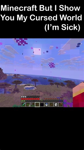 Minecraft Cursed Edition...