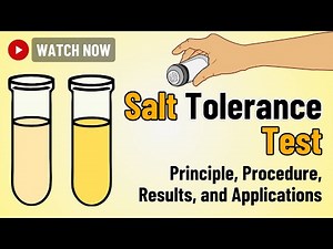 Salt Tolerance Test in Microbiology | Principle, Procedure, and Applications Explained!
