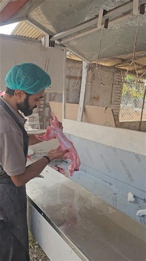 We Process Rabbit Meat With Hygien & Proper Packaging