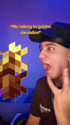 Golden Dandelion Meme: City Boy's Epic Reaction