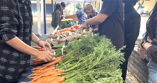 Santa Cruz City Schools recognized among nation's healthiest