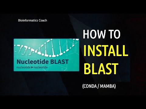 How to Install BLAST in Linux using Conda | Mamba | NCBI BLAST Tutorial | DNA and Protein sequences