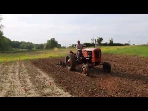 1954 Case VAC Tractor with Spring Tooth Harrow