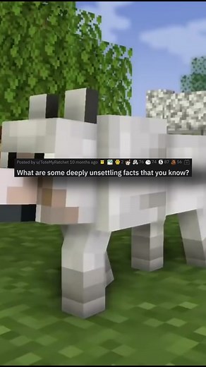 UnspokenStories on TikTok