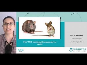 Webinar #6: SCA TOX: working with mouse and rat sperm