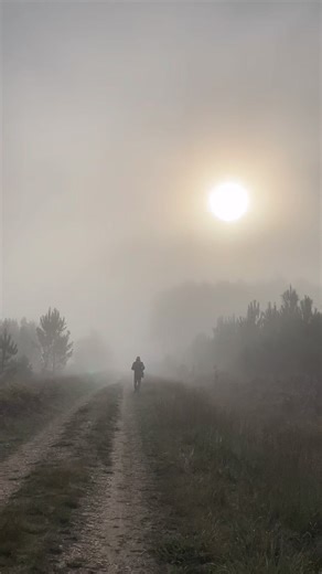 🇫🇷 Le brame du cerf, un instant rare que la photographie permet de conserver et de partager. 🇬🇧 The deer rut, a rare moment that photography allows us to capture and share. | Solognac Hunting