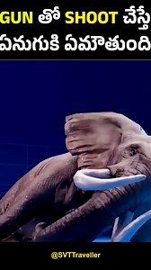 320K views · 2.4K reactions | Shocking Truth About Shooting an...