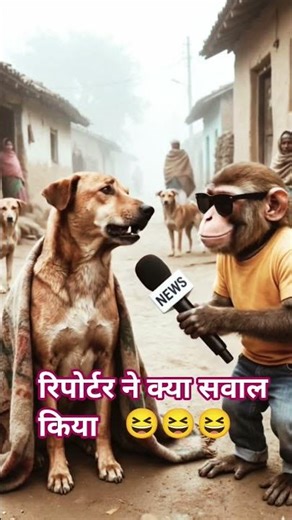 😂😂 रिपोर्टर बंदर ने कुत्ते से क्या सवाल किया 🥱🥱