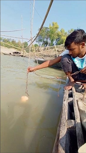 Watch How Tuna Fish Hunt Their Prey #fishing #tunafishing #fishingvideo