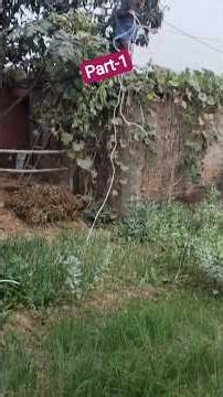 Jab Current Laga, Tab Samajh Aaya