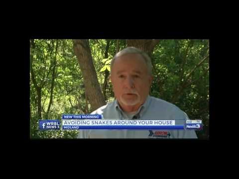 How to Keep Snakes Out of Your Yard - Tips from Arrow