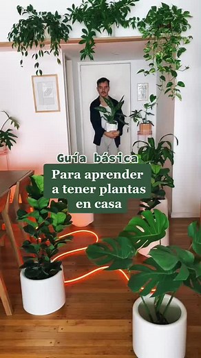 No mates tus plantas, aprende aquí como cuidarlas #plantas #plants #viral #españa #cuidadodeplantas #monstera #planatasinterior