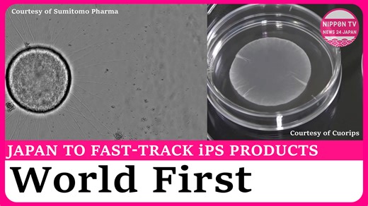 An expert panel at the Ministry of Health, Labor and Welfare conditionally endorses the manufacturing and sale of regenerative treatments derived from iPS cells under a fast-track system, paving the way for them to become the world’s first iPS cell-based products. Originally on air on February 20, 2026. Watch more on https://www.youtube.com/c/NipponTVNews24Japan | Nippon TV News24 Japan