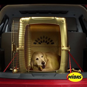 505K views · 264 reactions | Midas is committed to keeping you, and more importantly, your dog safe. | Midas | Facebook