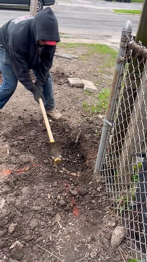 Caveman Joe chopping out some tree roots. Sometimes he would rather chop through them by hand instead of using our “root wrecker” auger. | Bill's Post Hole Service