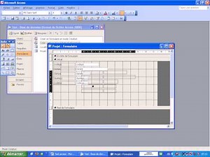 Tutoriel Access : Création de formulaires