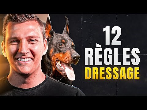 THE 12 RULES FOR TRAINING YOUR DOG OR PUPPY - (dog training tutorial)