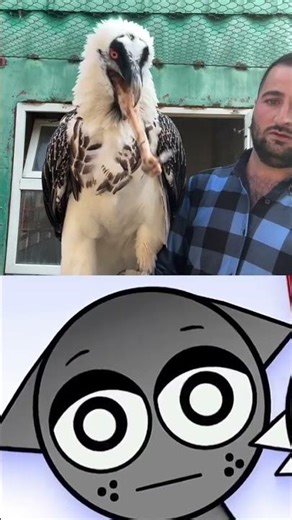 SPRUNKI Incredibox (Oren and Pinki) #animation #spruki #sprunkiincredibox