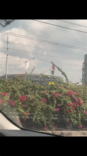 Keep Dreaming: The Journey to Basketball Success