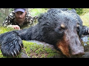 SNEAKING Up On BEAR Catch, Clean and Cook