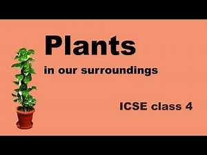 Plants in our surroundings: ICSE class 4 science