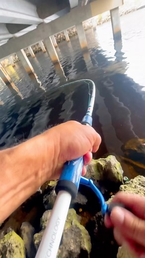 1M views · 10K reactions | Back at it again fishing in brackish water...