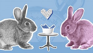 Someone in Chicago checked out the speed-dating scene