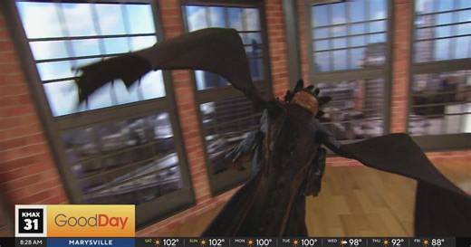 What's flying around in studio? Spin Master Toys brings us some toys from the movie How To Train You