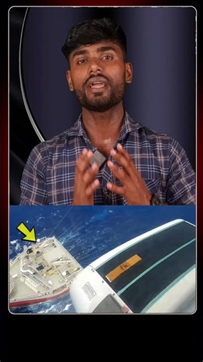 Bottom Trawling Fishing #marinelife #marriageproposals #hindisong