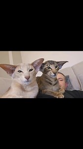 10K views · 1.9K reactions | Eilinė darbo diena ofise  | Juozas Kuraitis | Facebook