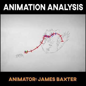 CAT SPIDER ANIMATION ANALYSIS - James Baxter