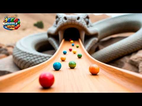 1000 Marble Run ASMR The BEST Compilation of Creative Marble Run Race Vol.2